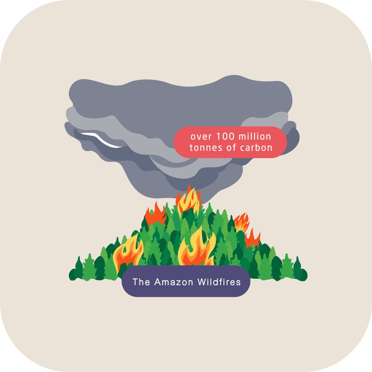 Do our part to help with ecological crisis | MSIG